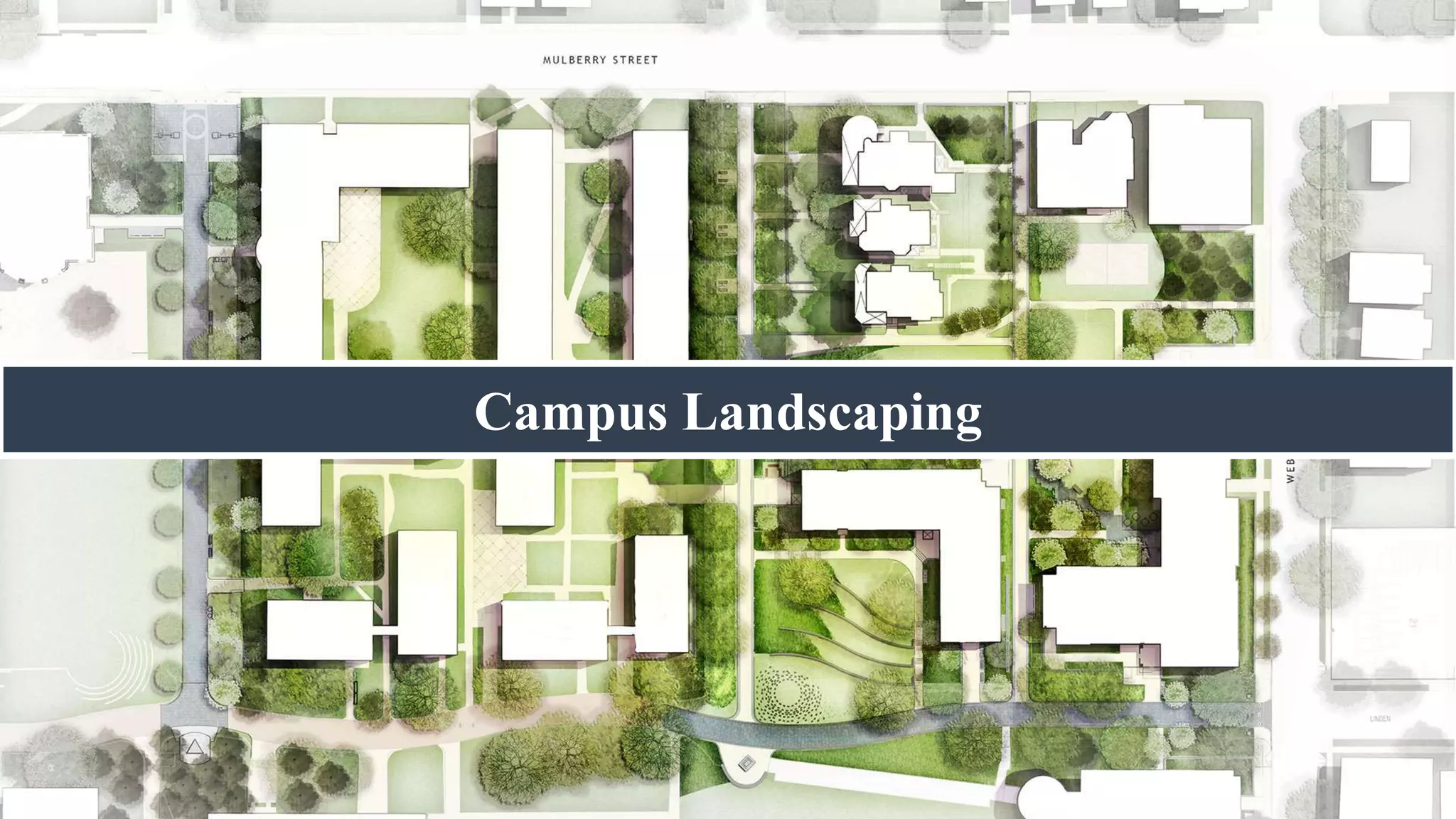 Campus Landscaping of Centre for Environmental Planning and Technology ...