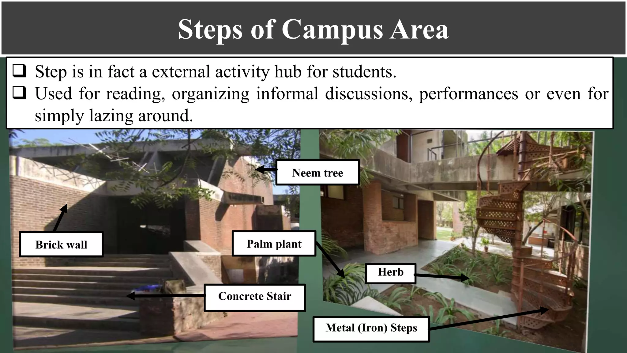 Campus Landscaping of Centre for Environmental Planning and Technology ...