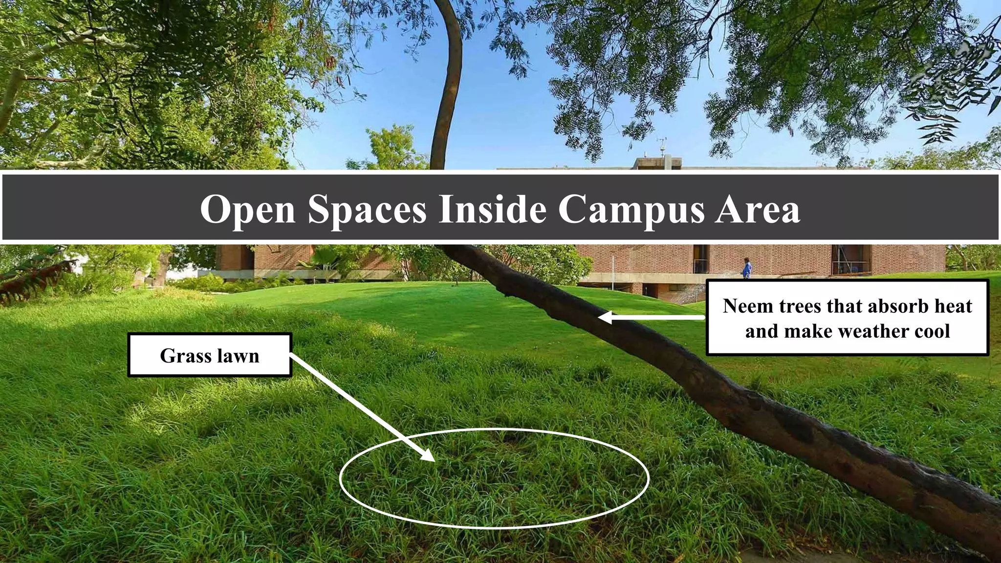 Campus Landscaping of Centre for Environmental Planning and Technology ...