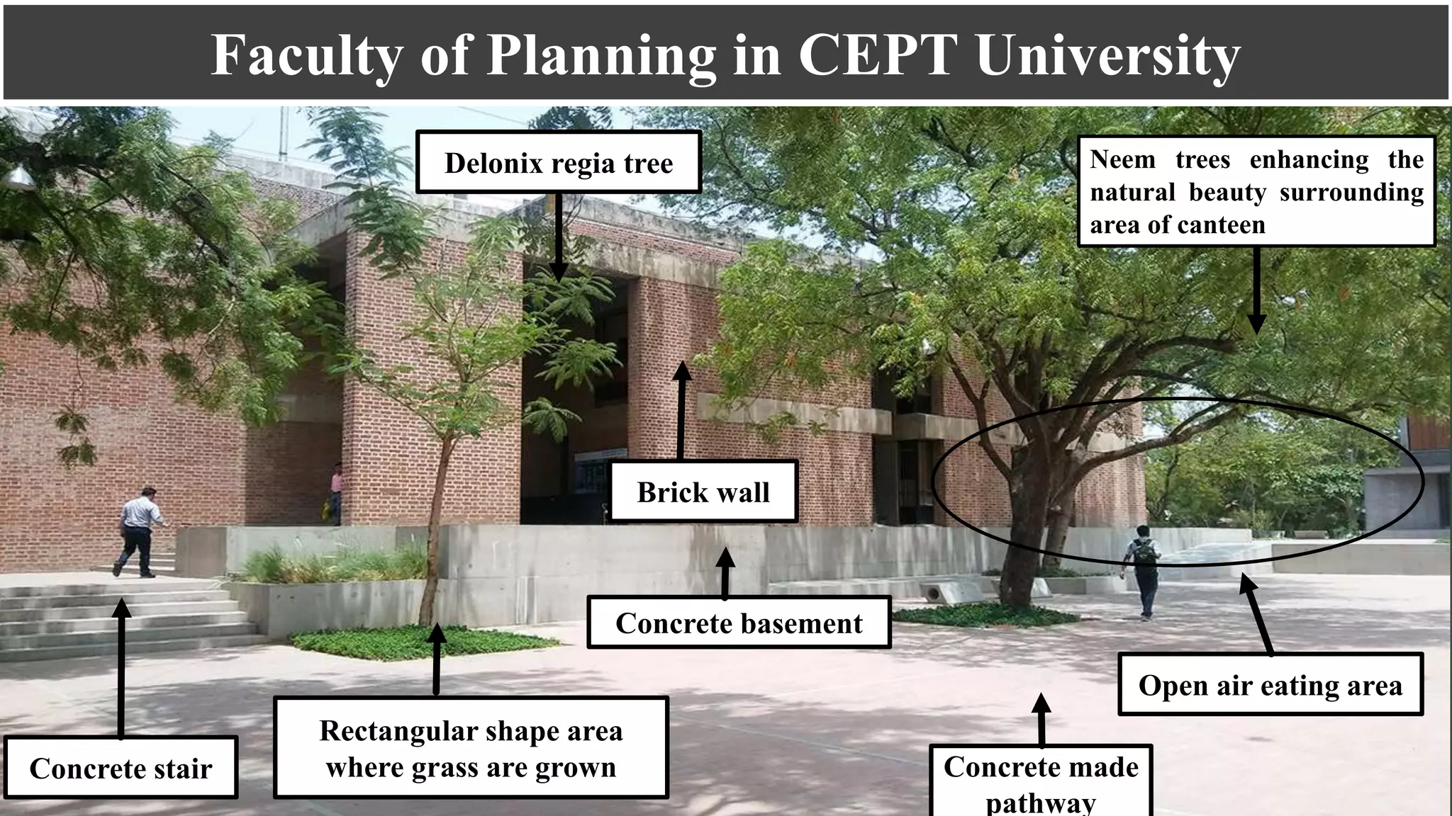 Campus Landscaping of Centre for Environmental Planning and Technology ...