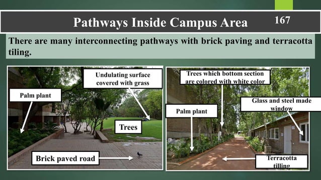 Campus Landscaping of Centre for Environmental Planning and Technology ...