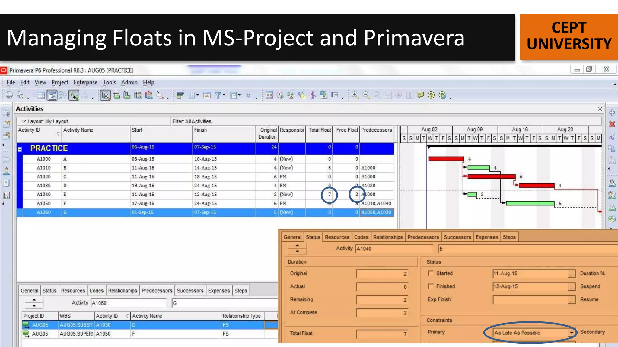Importance of Microsoft Project and Primavera | PPTX