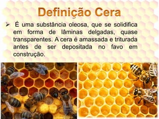 Cera - Trabalho Apicultura | PPTX