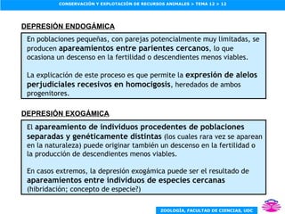 CERA_12_Factores intrinsecos de amenaza | PPT