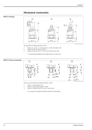 Cerabar t pmc131 pmp131 pmp135-endress+hauser datasheet-process ...