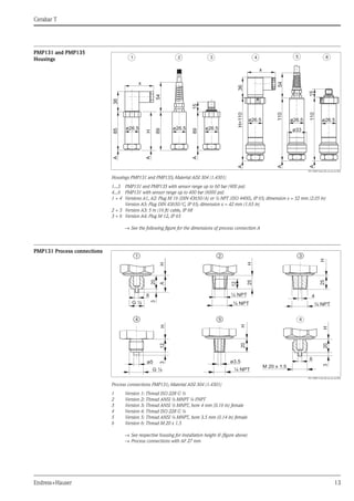 Cerabar t pmc131 pmp131 pmp135-endress+hauser datasheet-process ...