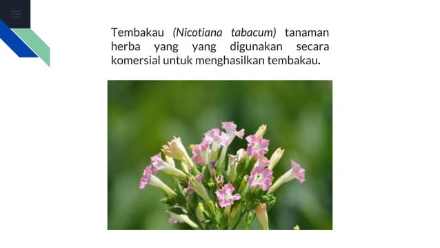 CERAMAH 2:BENGKEL PEMANTAPAN KOTAK EDISI KE-2 TAHUN 2023.pptx