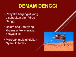 ceramah denggi 2022.pdf