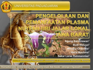 PENGELOLAAN DAN PEMANFAATAN PLASMA NUTFAH UBI JALAR LOKAL JAWA BARAT | PDF