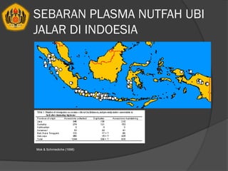 PENGELOLAAN DAN PEMANFAATAN PLASMA NUTFAH UBI JALAR LOKAL JAWA BARAT | PDF