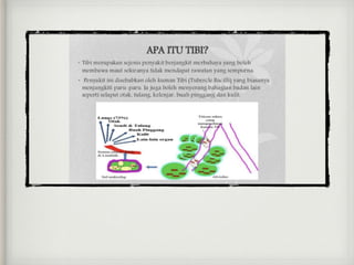 Ceramah kesihatan PENYAKIT TIBI | PPT