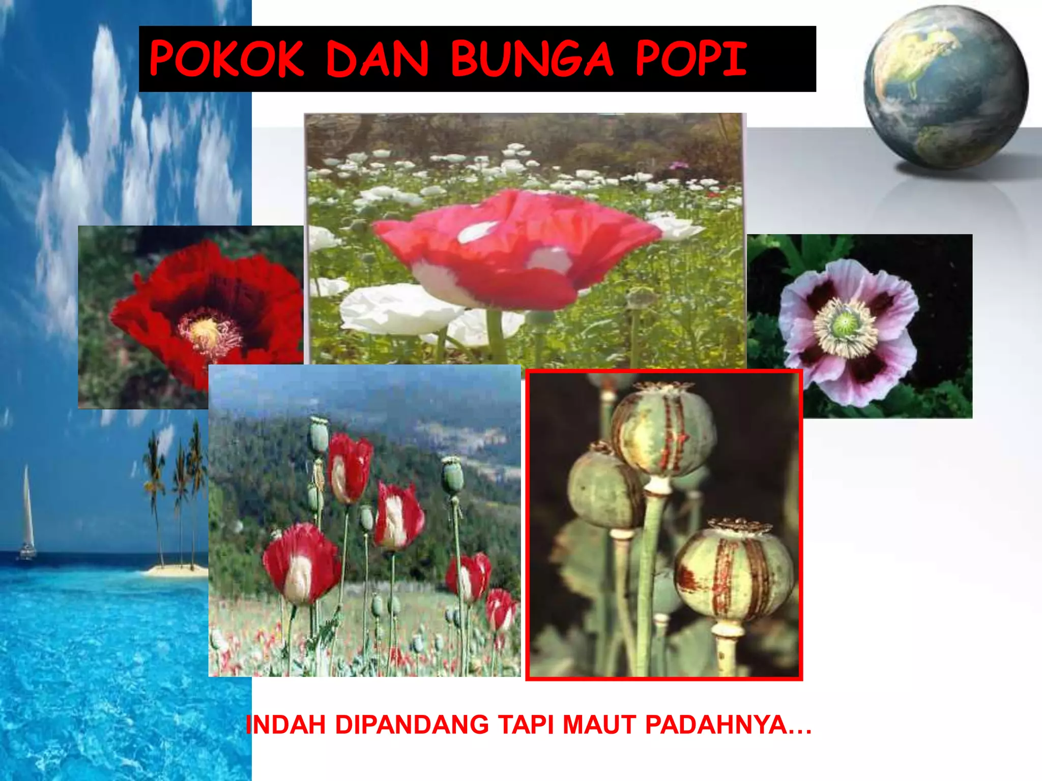 CERAMAH PENCEGAHAN DADAH.pptx