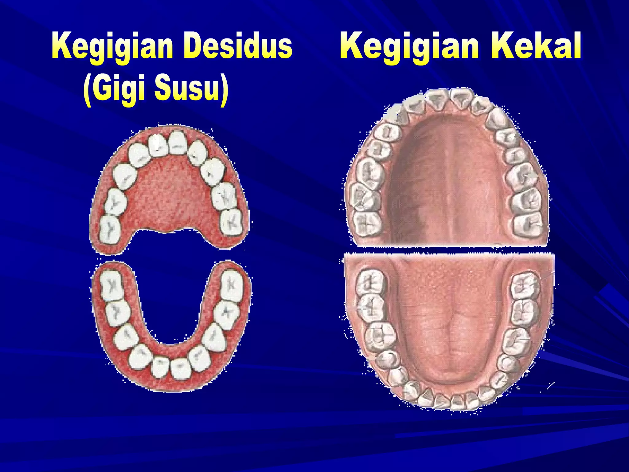 Ceramah pergigian tahap 1 | PPT