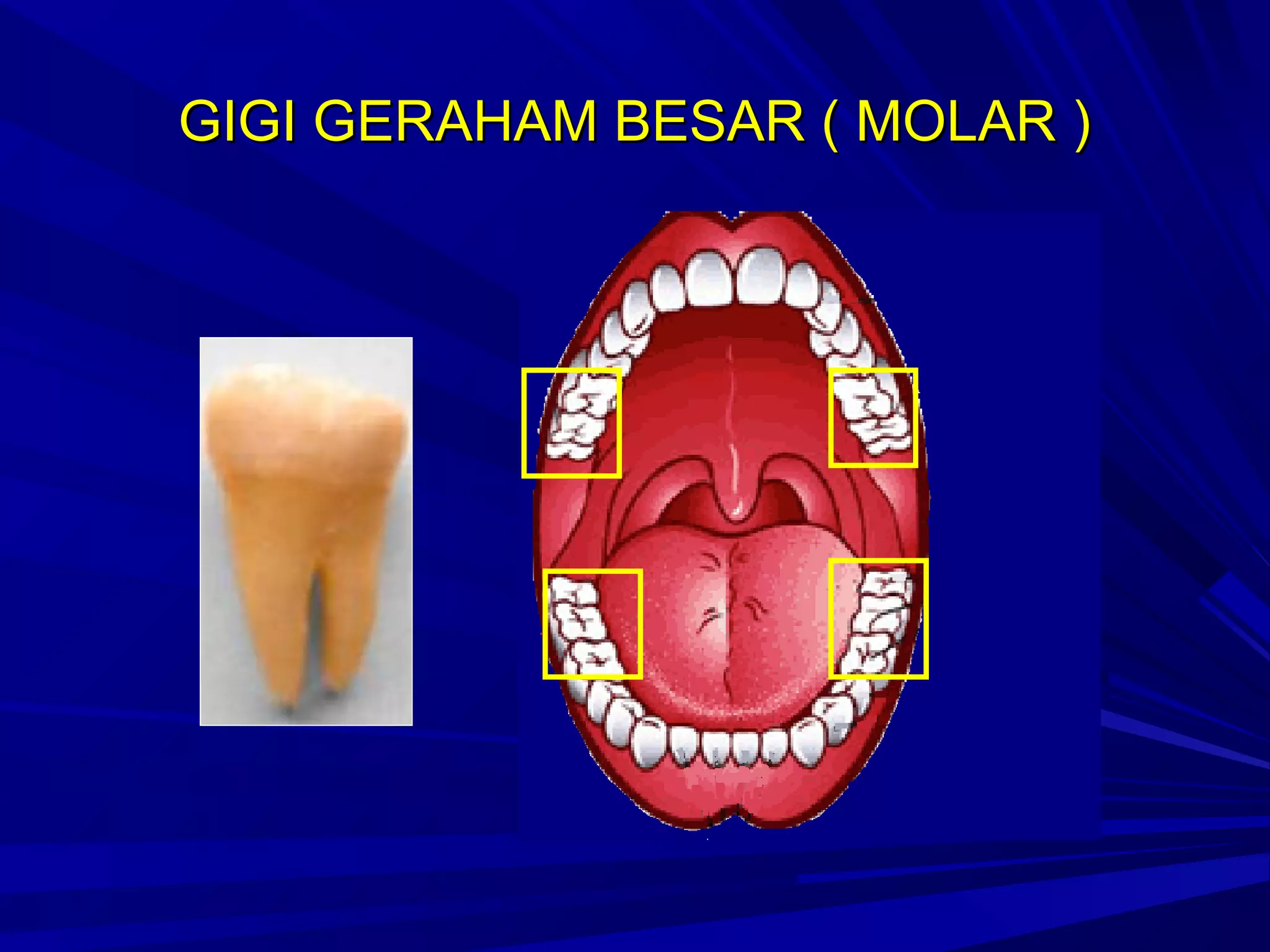 Ceramah pergigian tahap 1 | PPT