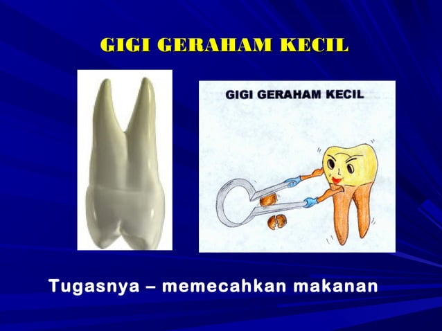 Ceramah pergigian tahap 1 | PPT