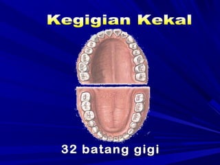 Ceramah pergigian tahap 1 | PPT