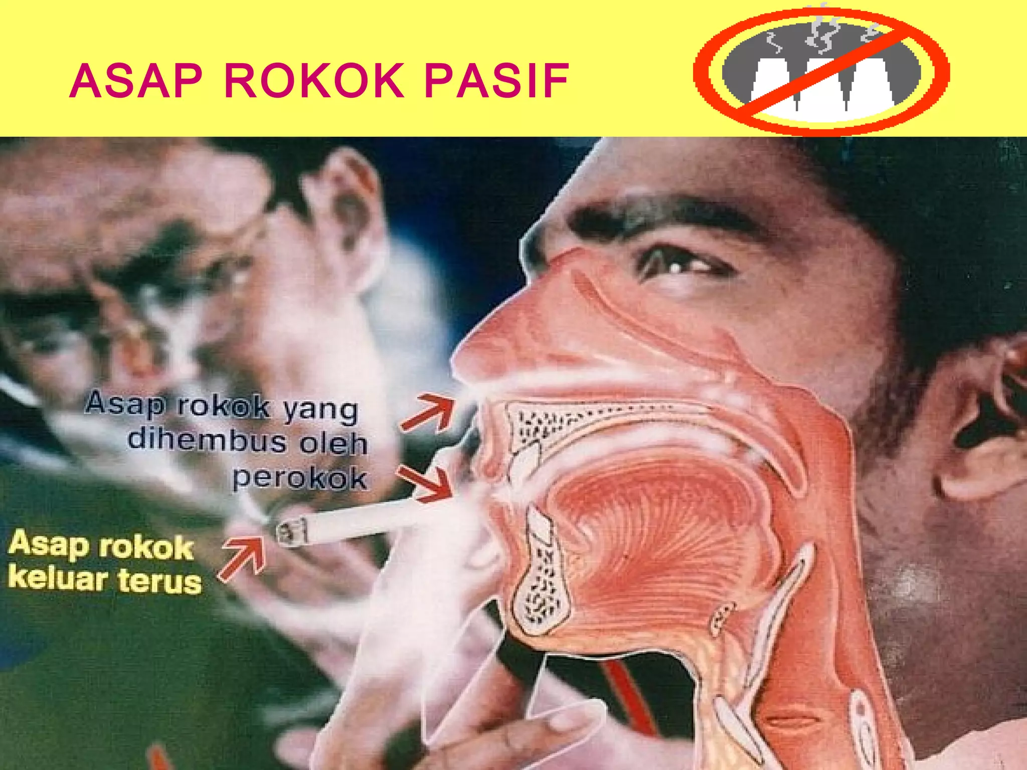 Bahaya Rokok | PPT