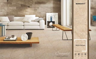 Floor time collection | Somany | PPT
