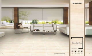 Floor time collection | Somany | PPT