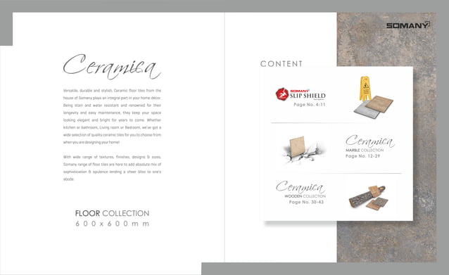 Floor time collection | Somany | PPT