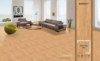 Floor time collection | Somany | PPT
