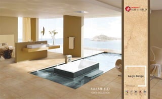 Floor time collection | Somany | PPT