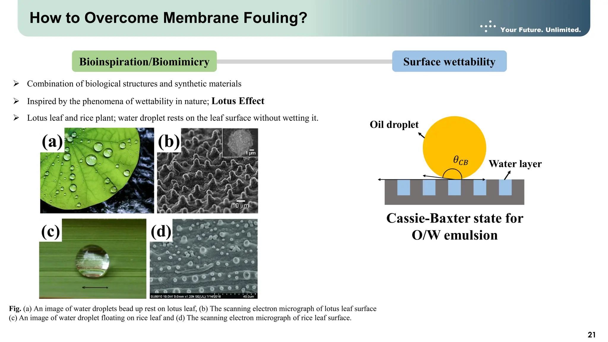 Ceramic Multichannel Membrane Structure with Tunable Properties by Sol ...