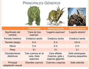 Ceratópsidos (Ceratopsidae) - Paleontología | PPTX