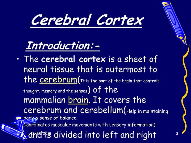 Cerbral cortex. | PPSX