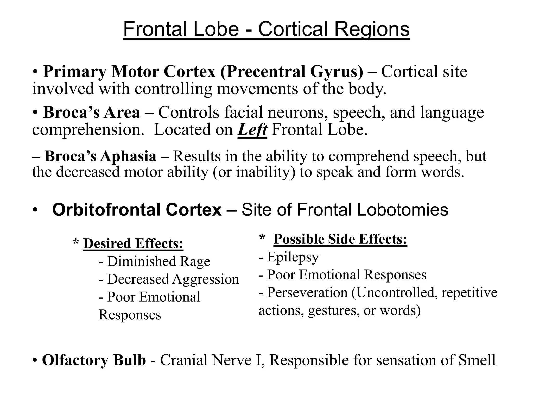 physiology of cerebral cortex, cerbral cortex.ppt