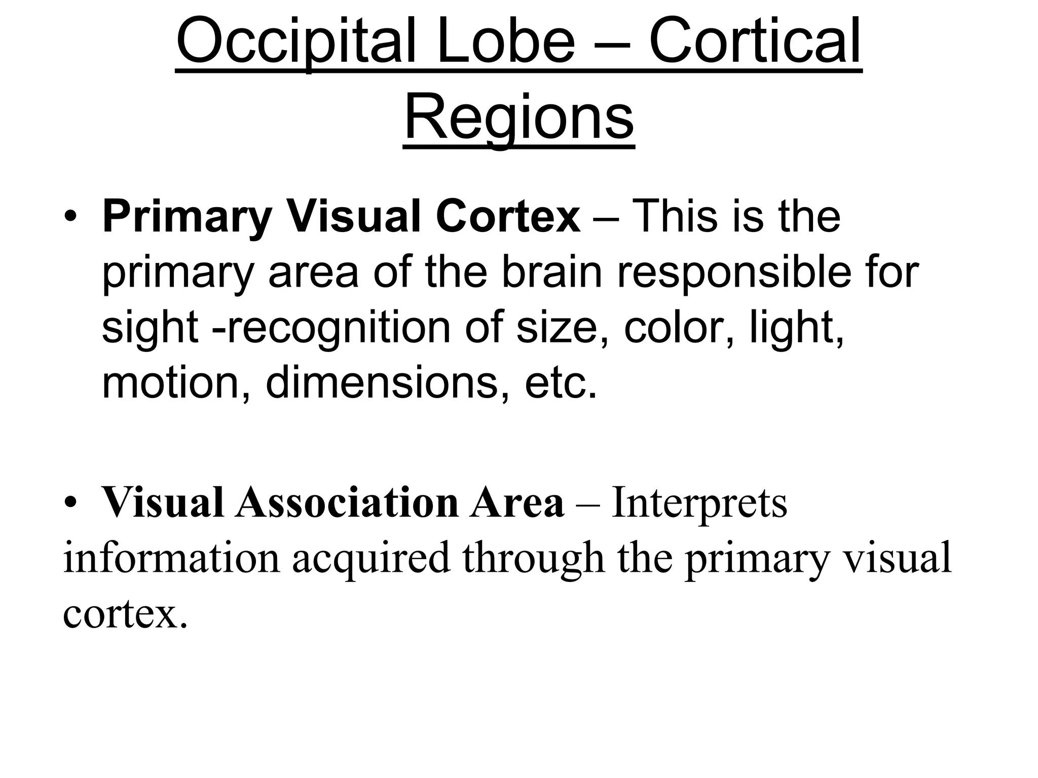 physiology of cerebral cortex, cerbral cortex.ppt