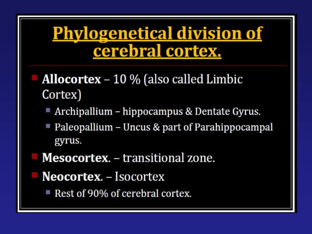 physiology of cerebral cortex, cerbral cortex.ppt