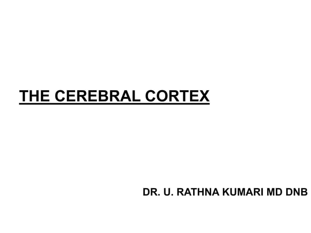physiology of cerebral cortex, cerbral cortex.ppt