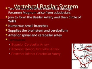 Presentation on cerbrovascular imaging.ppt