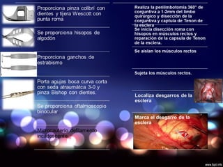 Cerclaje | PPT