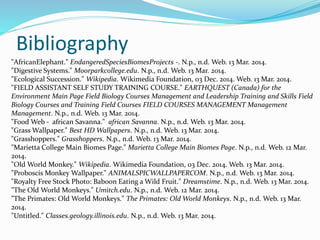 Cercopithecoidea (Old World Monkeys) | PPTX | Biological Sciences | Science
