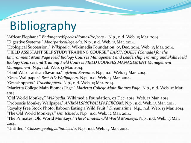 Cercopithecoidea (Old World Monkeys) | PPT