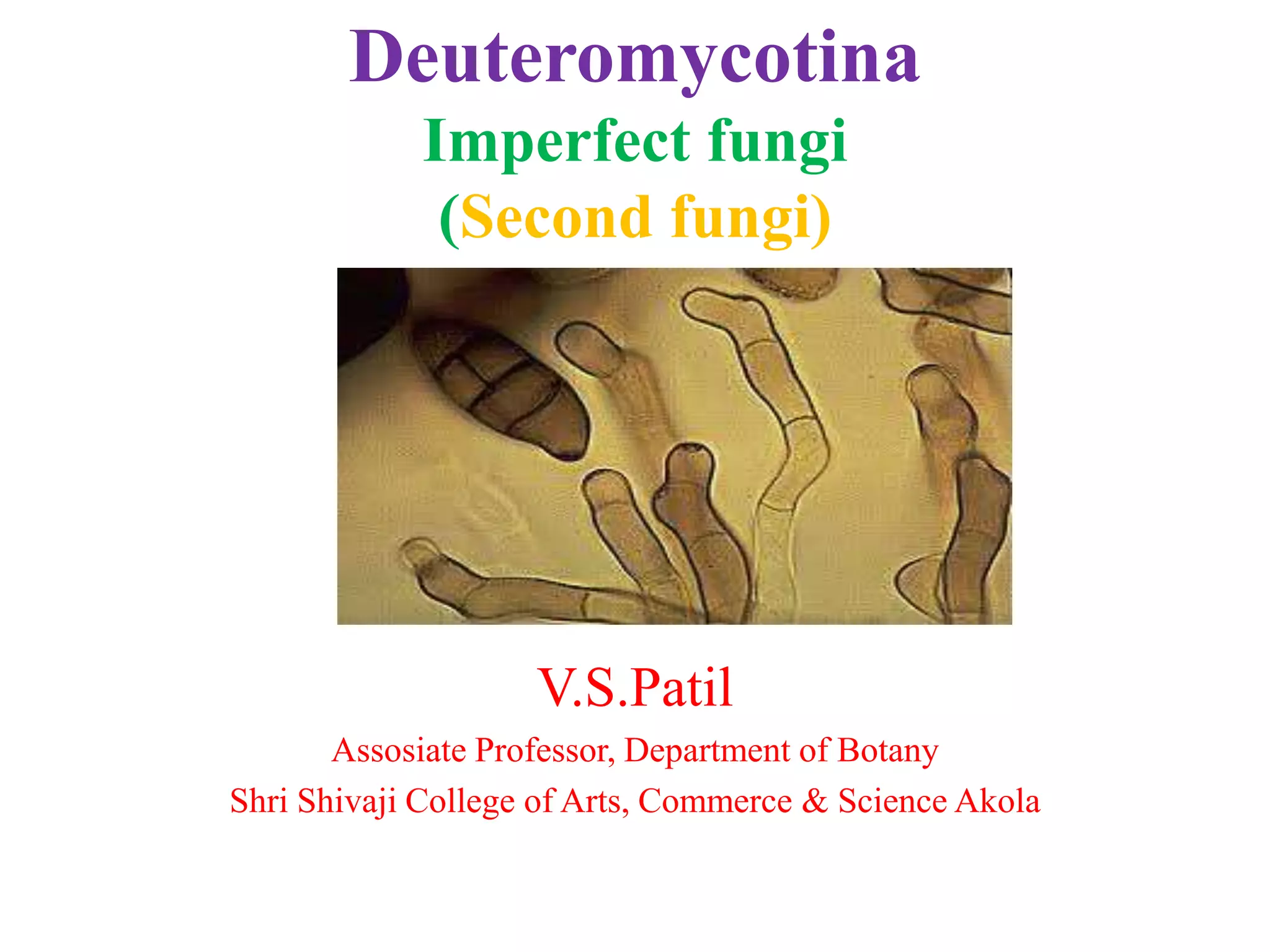 Cercospora | PPTX