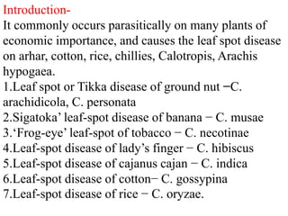 Cercospora | PPTX