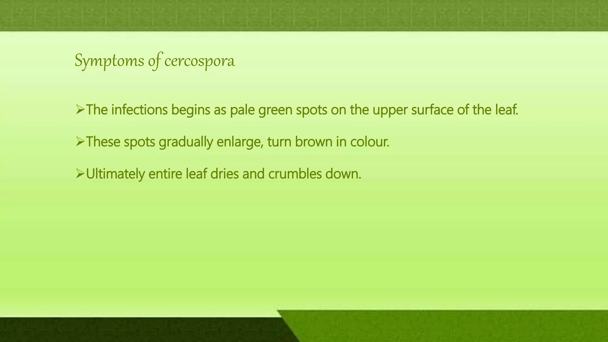 Cercospora & virus | PPTX