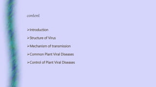 Cercospora & virus | PPTX