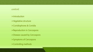 Cercospora & virus | PPTX