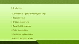 Cercospora & virus | PPTX
