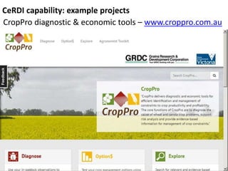 CeRDI Agriculture Research | PPTX