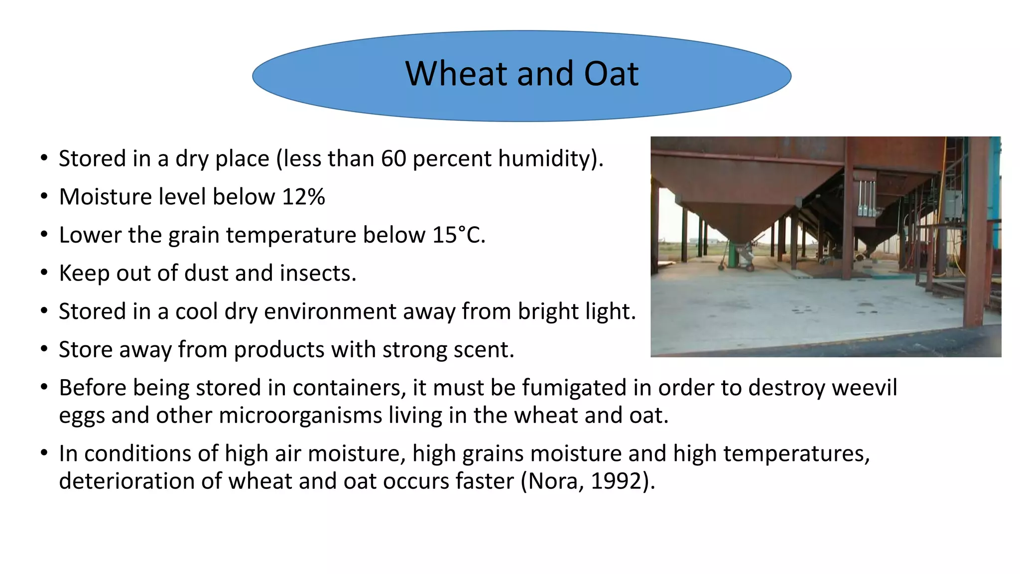 Cereal: Wheat and oat | PPT
