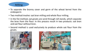 Cereal: Wheat and oat | PPTX