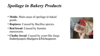 Spoilage, Contamination, Sources, Prevention of Cereal and Cereal ...