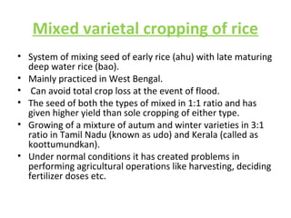 Cereal based cropping system in india | PPT