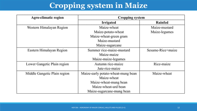 cereal based cropping system in india.pptx