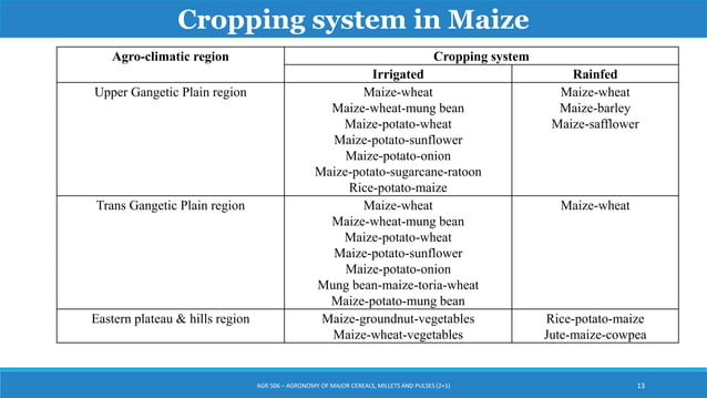 cereal based cropping system in india.pptx